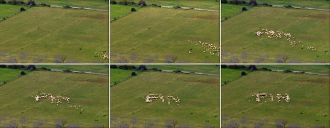 Arthur.io • A Digital Museum