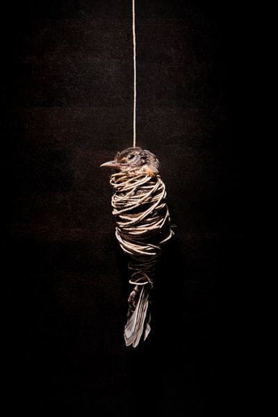 Arthur.io • A Digital Museum