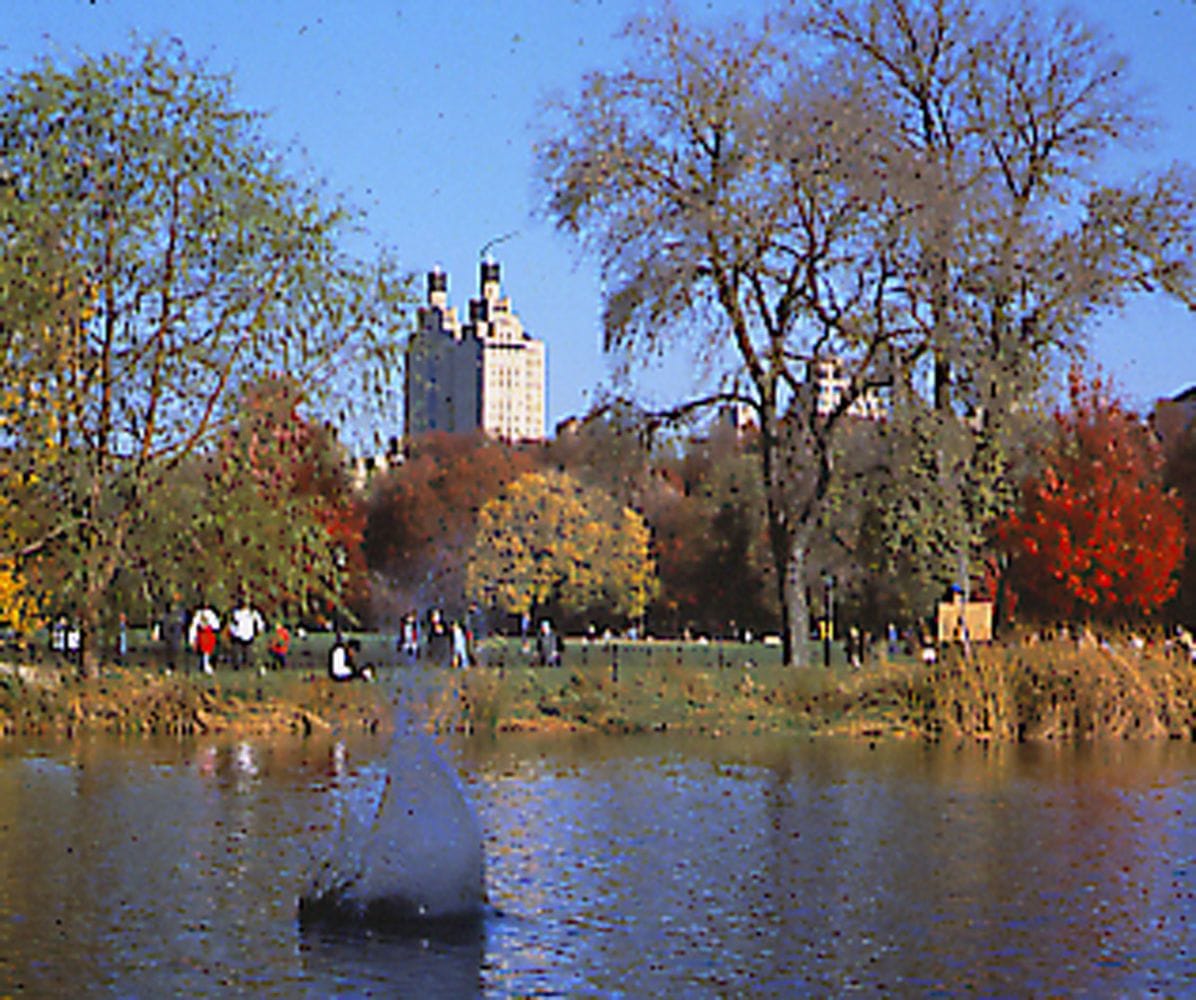 Arthur.io • A Digital Museum