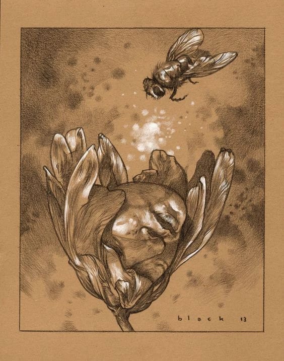 Steven Russell Black