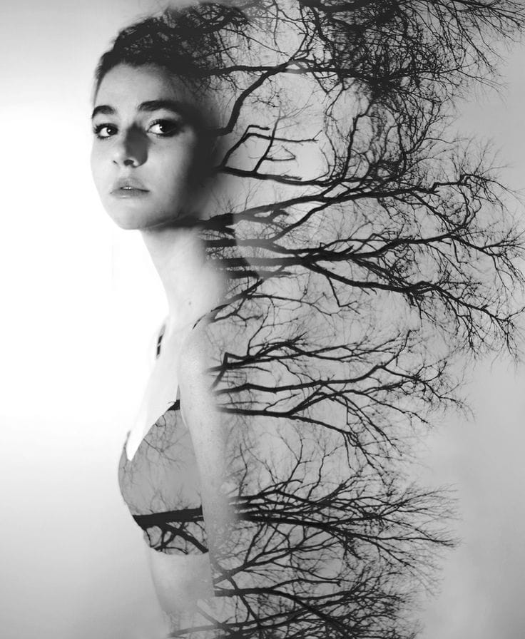 Rachel Baran - Untitled