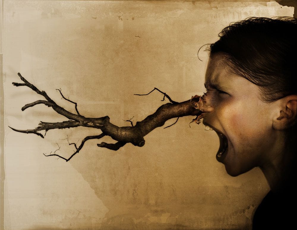 David Seidman - Untitled