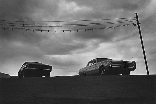 Terry Wild - Untitled