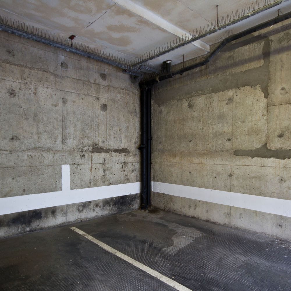 Barry Falk - Untitled