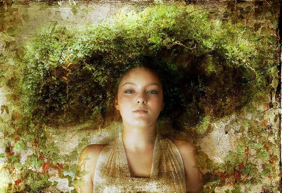 Thomas Dodd - Untitled